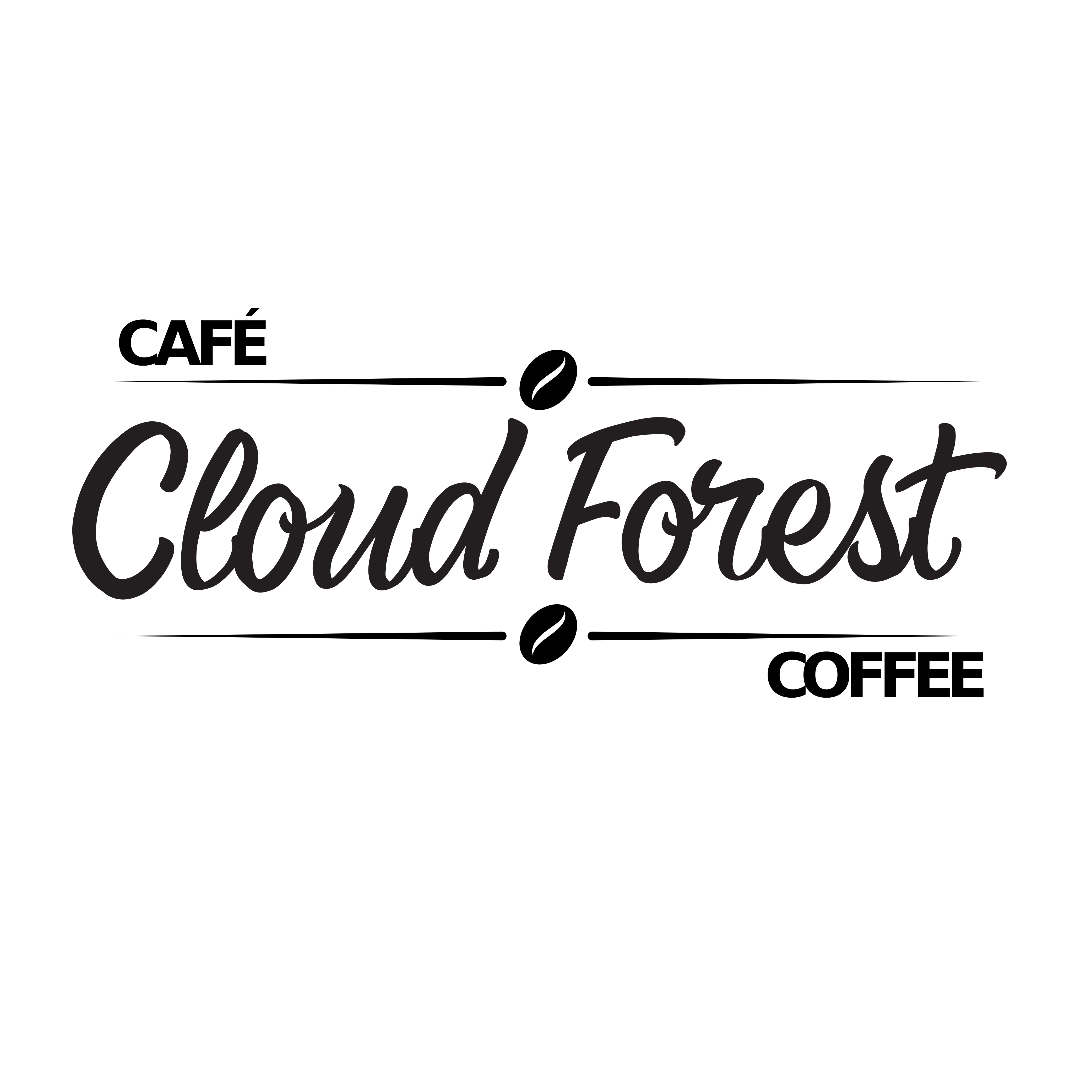 Cloud Forest Coffee | MDO