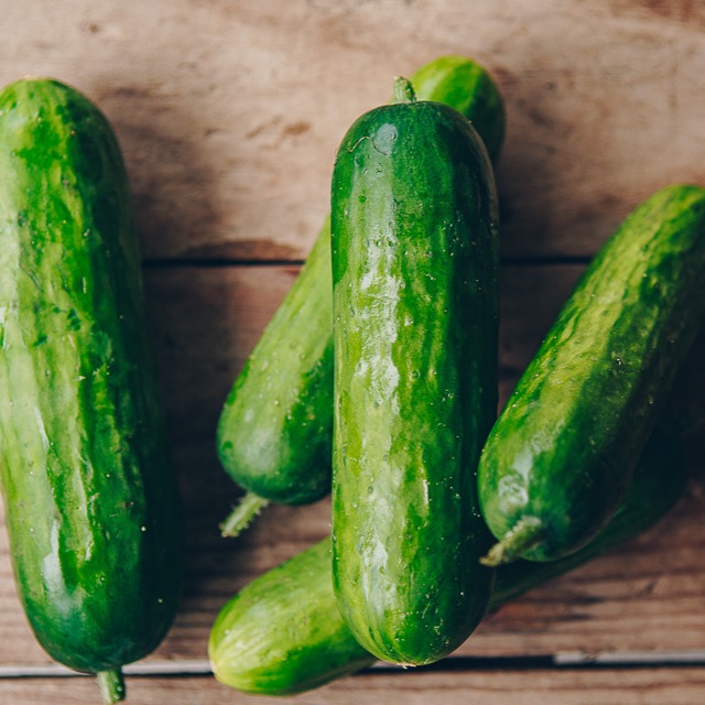 Concombre libanais bio | MDO