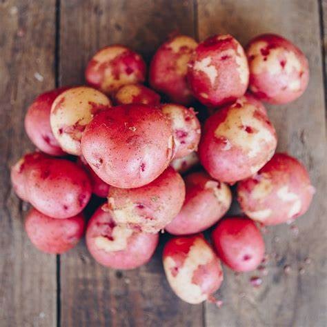 Your local market in Outaouais | MDO