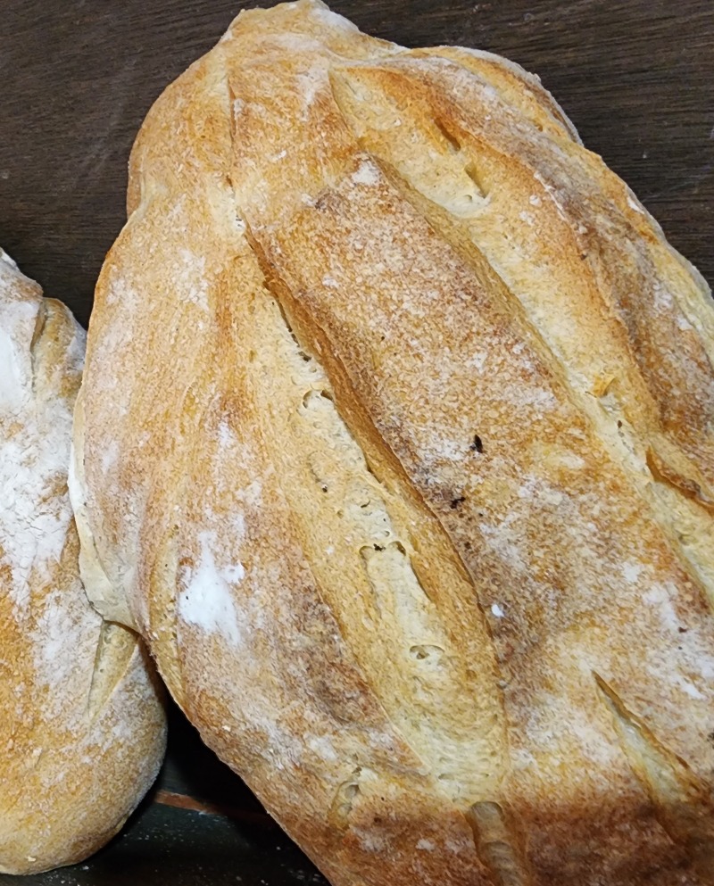 Sourdought Belgium bread | MDO
