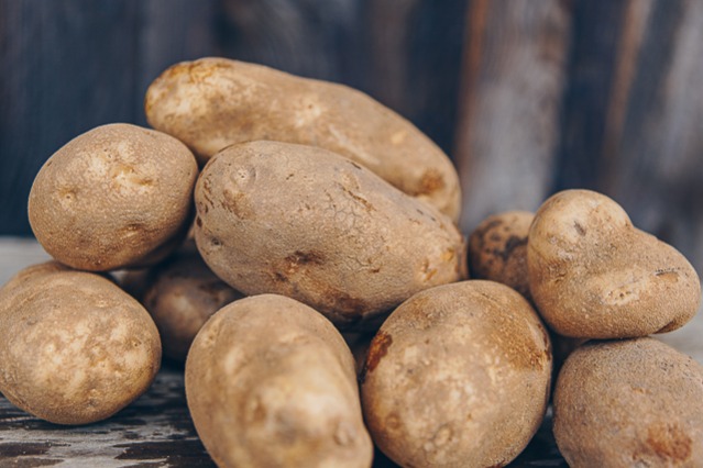 Pomme de terre Russet bio | MDO