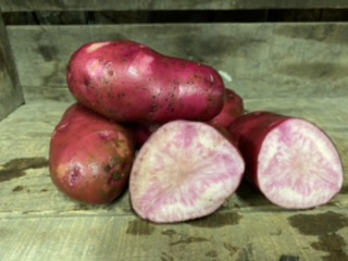 Terra Rosa potato | MDO