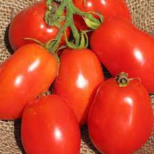 Italian tomato Monticello (organic certified) | MDO